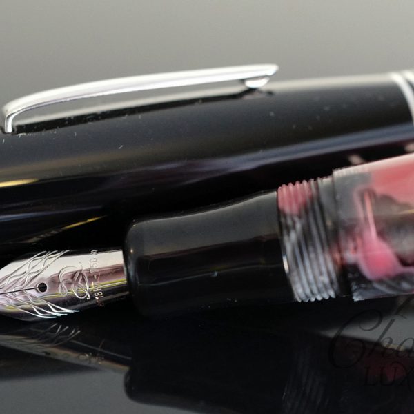 Delta 366 Fountain Pen