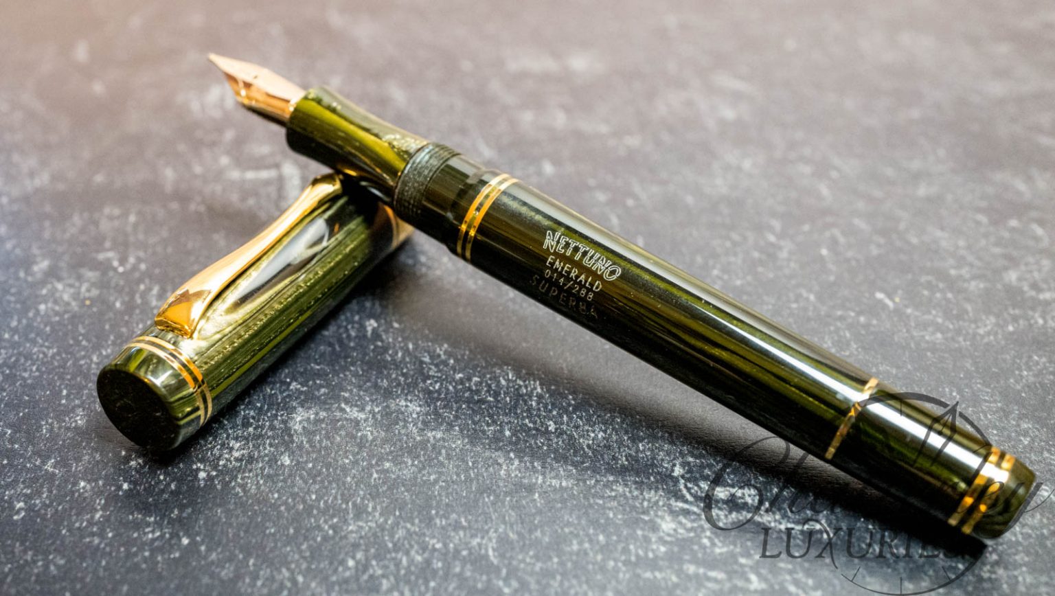 Nettuno Superba Celluloid Fountain Pen - Chatterley