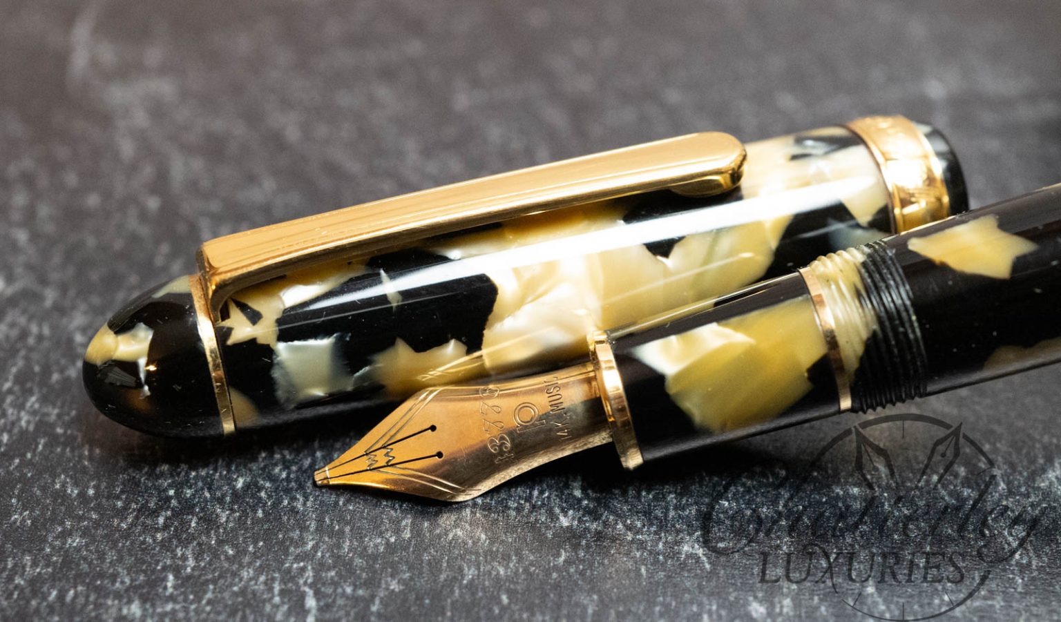 Platinum 3776 Calico Celluloid Fountain Pen - Chatterley